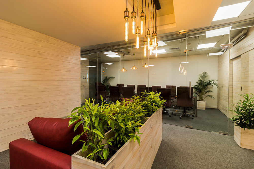 Office Interior for Access Realties